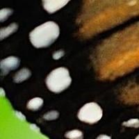 World's #1 Naming Contest Platform - Business Name Contests