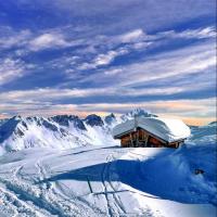 Naming Contest Winners - Atom