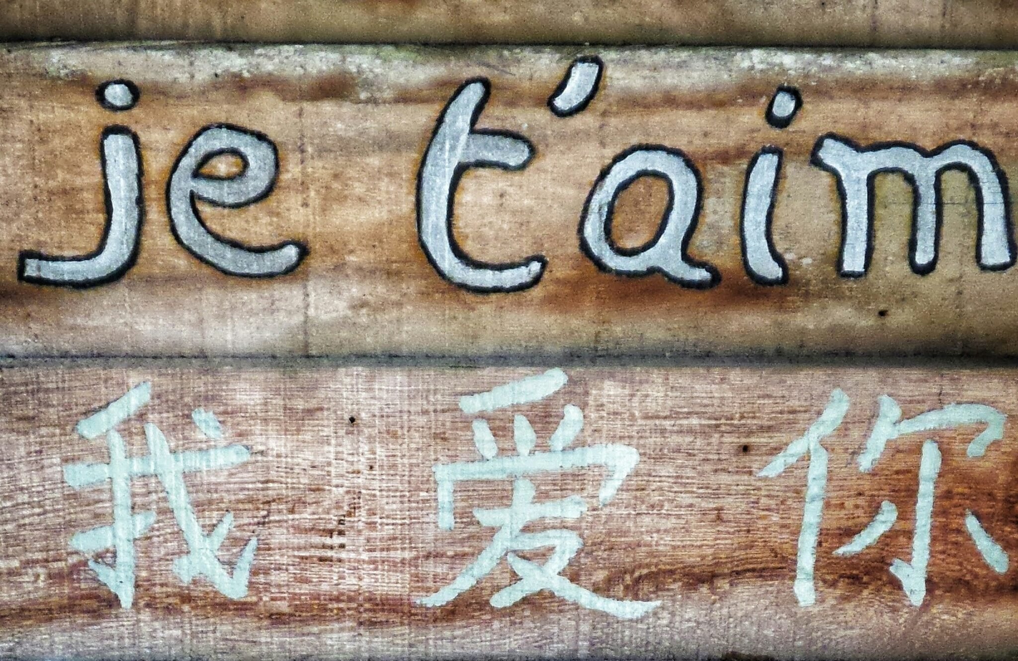 AtomRadar Research 43% Have Tried to Learn a Foreign Language From TV and Movies