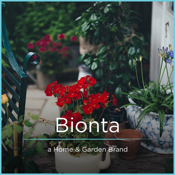 Winning Name Portfolio By AirFantom